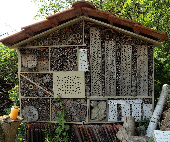 Insect Hotel • Insteading